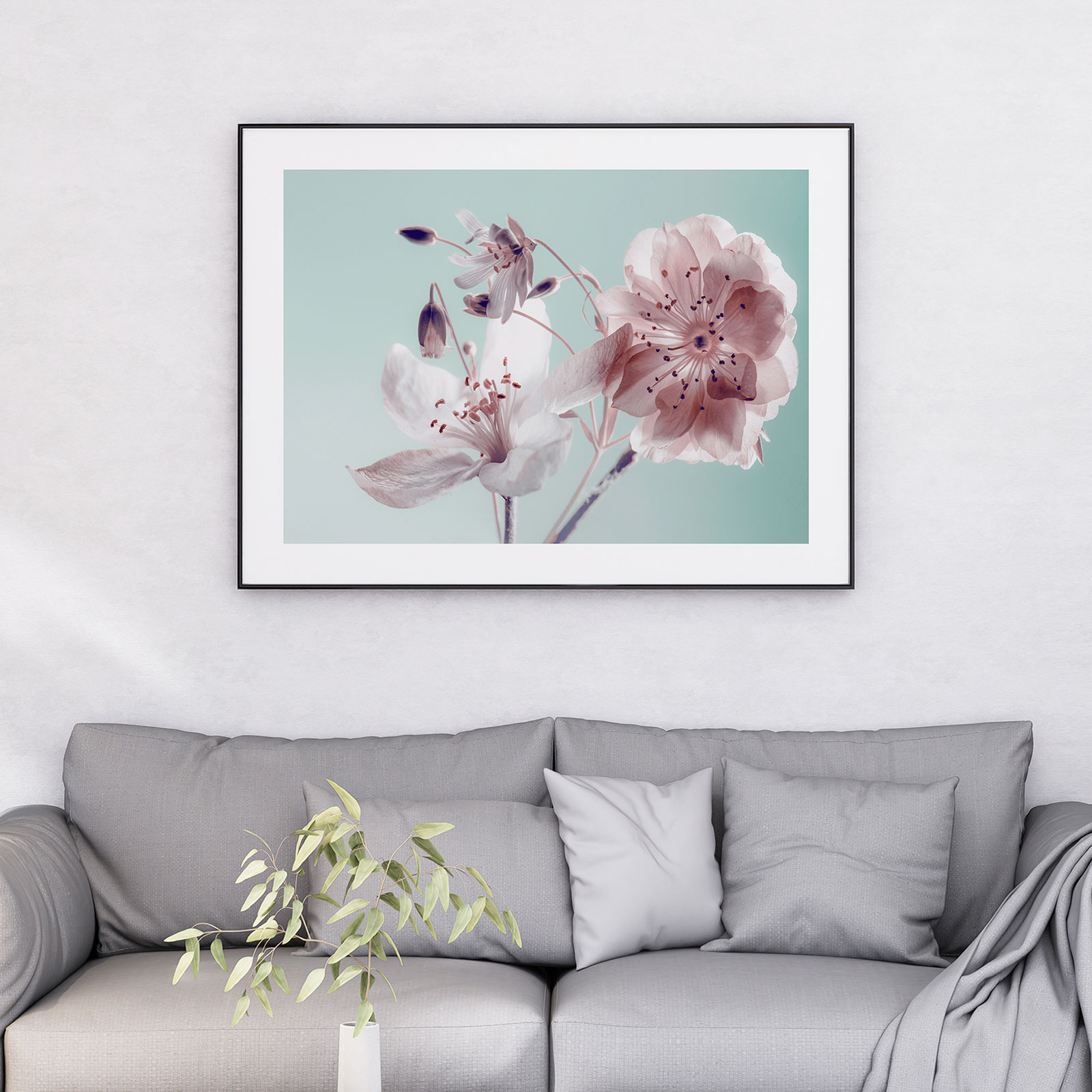 Affiche / Poster - Fleurs - Des prix 50% moins cher qu'en magasin
