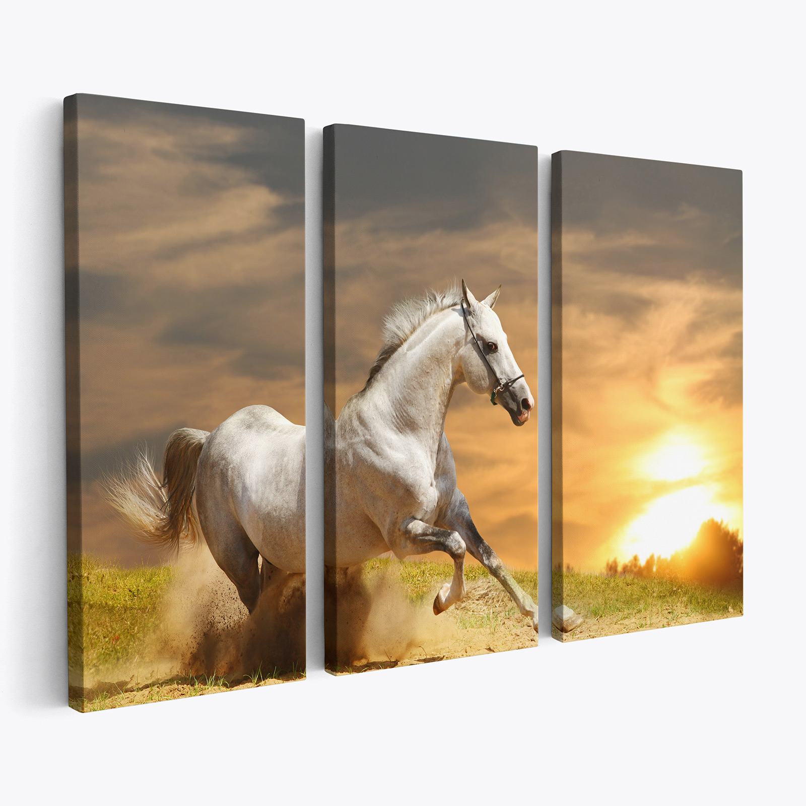 Tableau triptyque sur toile - Cheval blanc - Des prix 50% moins cher qu ...