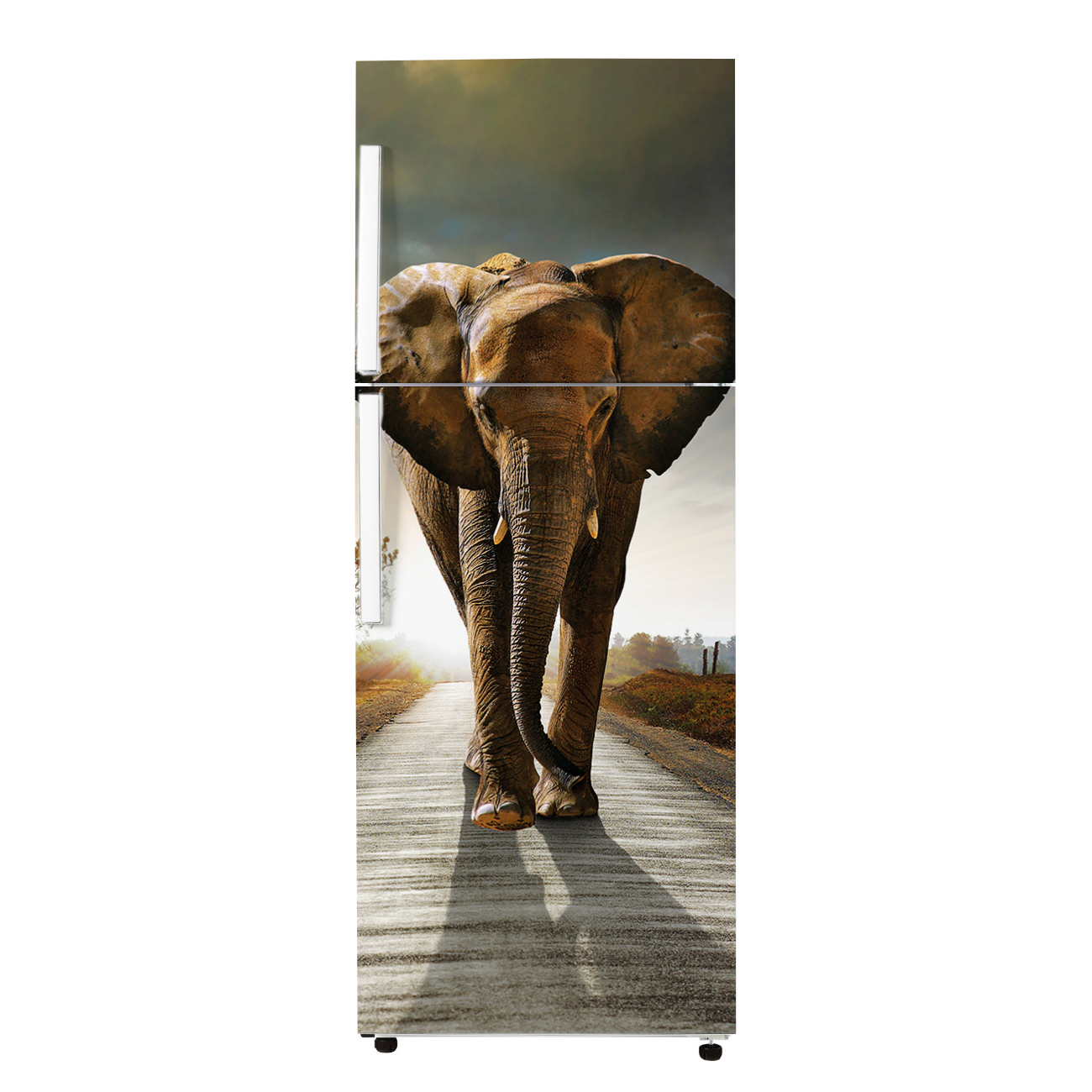 Stickers Frigo - Eléphant - Des prix 50% moins cher qu'en magasin
